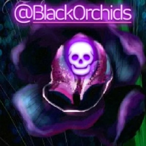 Makeup Revolution | Makeup | New Revolution Makeup Eutopia Eyeshadow ...